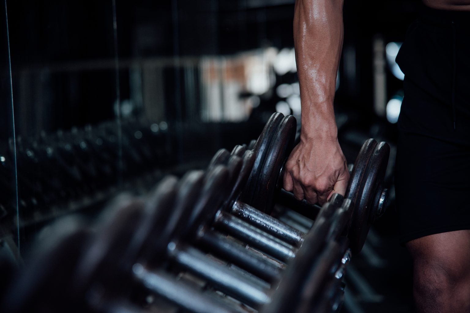Top 10 Face-Pull Alternatives | Gym Rat Style